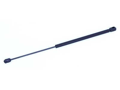 Trunk Strut For 1994-2004 Ford Mustang 2001 1995 1996 1997 1998 1999 ...