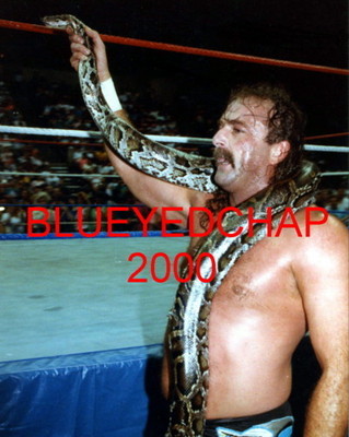 JAKE ROBERTS WRESTLER 8 X 10 WRESTLING PHOTO NWA WWF | eBay