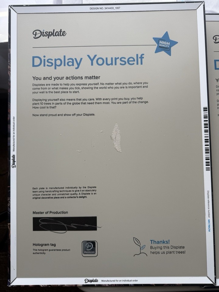 Displate Thought Cabinet Disco Elysium Limited Edition Metal Poster By ...