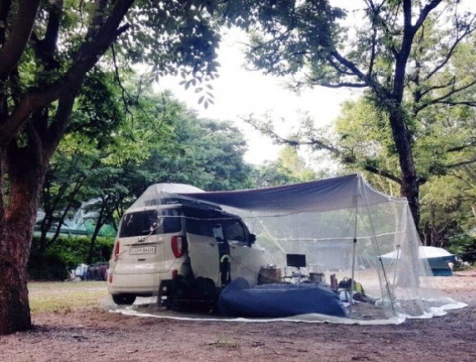 5.6m(18ft) Army Green Extra Large Mosquito Fly Net Car Netting Outdoor ...