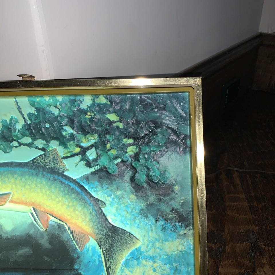Extra Rare Vintage GENESEE BEER Trout Fish Shadow Box Bar Light Sign. Beautiful! | eBay