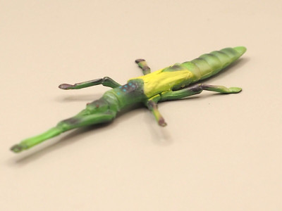 Megacrania alpheus adan Stick Insect Toy Mini Figure Choco Egg Kaiyodo ...
