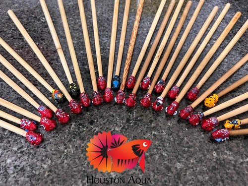 Hand Made Betta's Flaring Stick( Koi Betta) Aquarium Accessory - Fish ...
