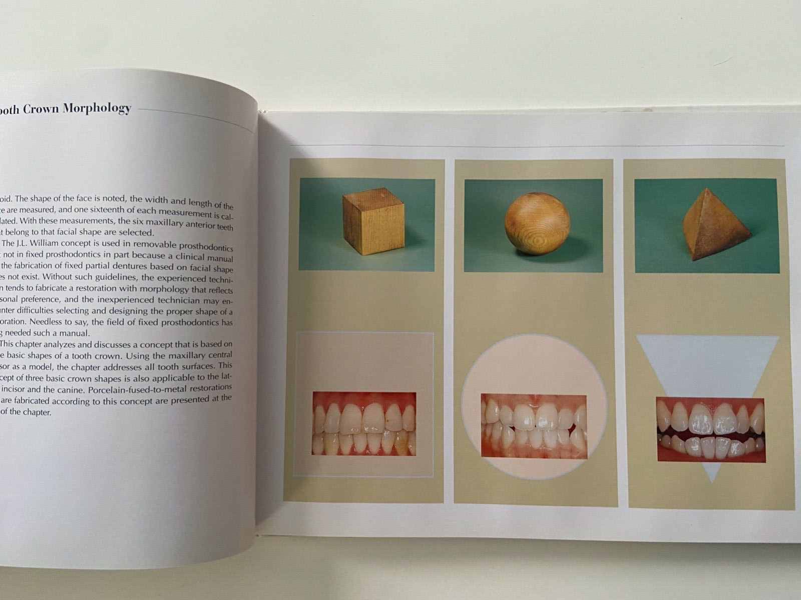 Nature's Morphology: An Atlas of Tooth Shape and Form by Kataoka ...