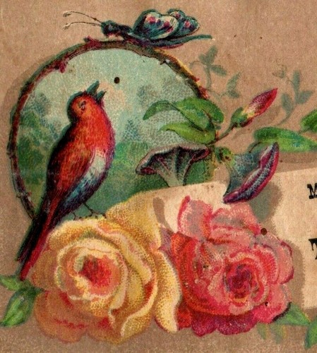 1870's Mrs. T.C Davidson Teacher Of The Pianoforte Piano Teacher P166 ...