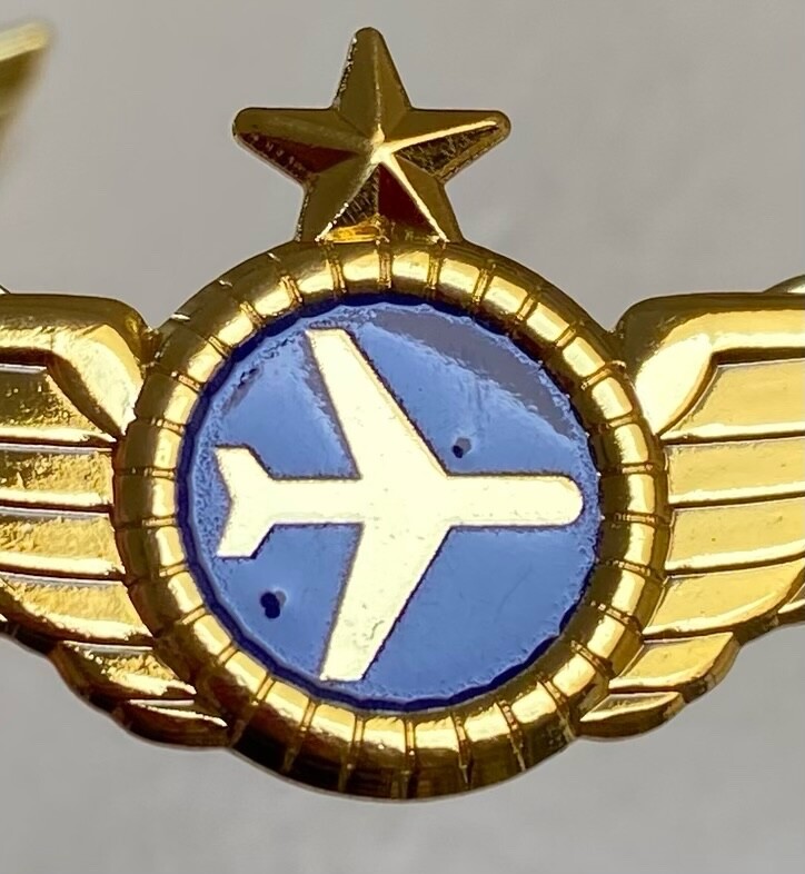 2 Airlines Captains Pilot Wings Gold Metal Airplane Pins with Defects ...