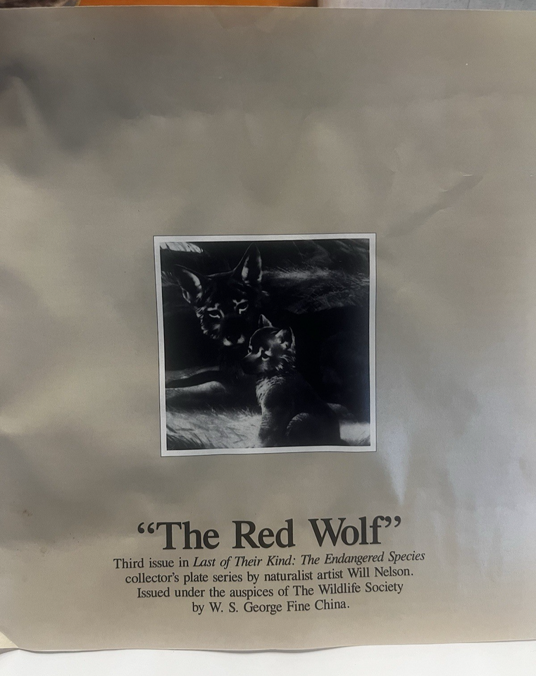 1989 Red Wolf Collector Plate by Will Nelson with Certificate of ...