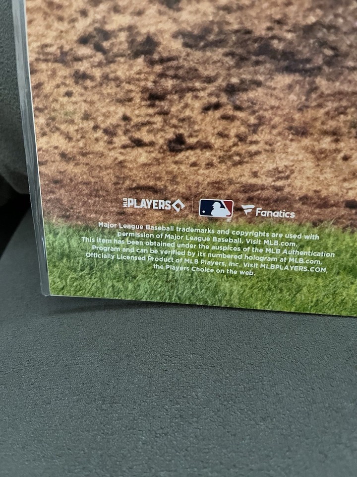 Chicago White Sox Lucas Giolito Signed 16x20 Photo No Hitter Fanatics ...