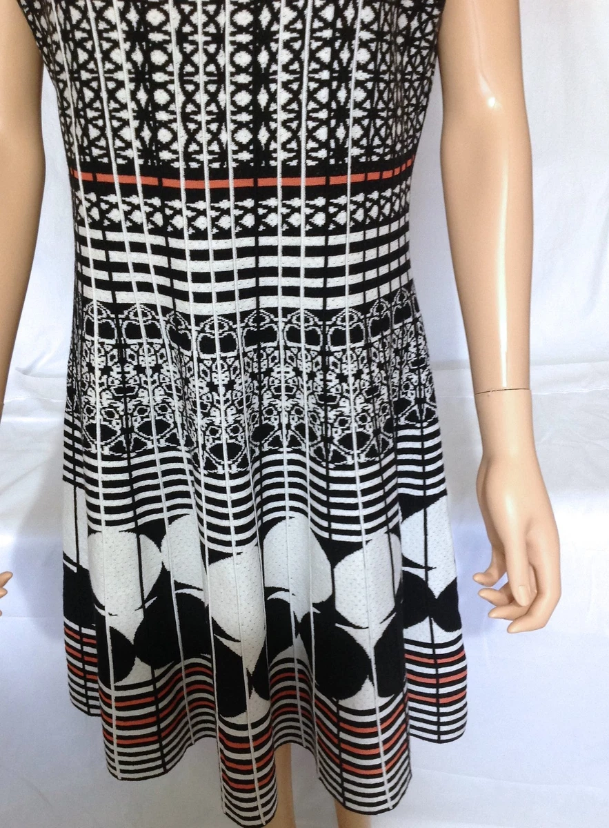 Nic And Zoe Fit And Flare Dress Shop | emergencydentistry.com