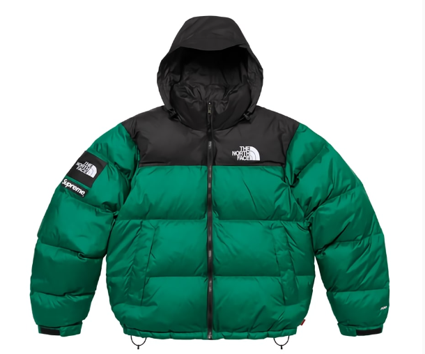 Supreme The North Face Nuptse Jacket 2024 FW Week9 Red Green Black ...