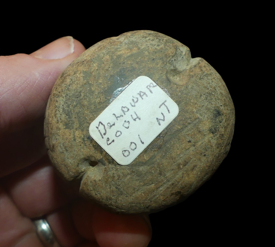 NET WEIGHT DELAWARE AUTHENTIC INDIAN ARROWHEAD ARTIFACT COLLECTIBLE ...