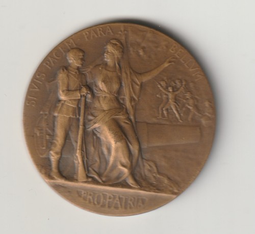 Bronze Medal, PRO-PATRIA Military Preparation Small Module: 35 mm | eBay
