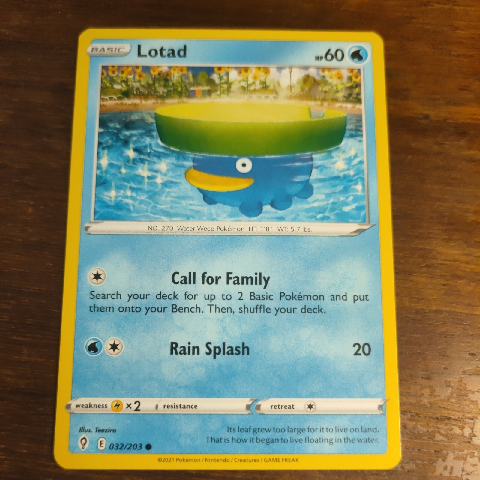 Lotad 032/203 Common | SWSH: Evolving Skies | Pokemon Card | eBay Australia