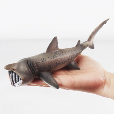 Basking Shark Marine Model Animal Shark Collector Scene Decor ...