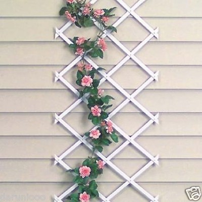 White Expanding Plastic Garden Trellis 150 X 40cm 1.8m each PVC Trellis ...