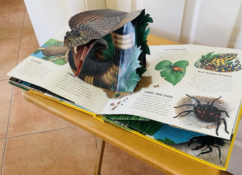 Extreme Animals Pop-Up Book Nick Denchfield 2003 3D Danger Creatures ...