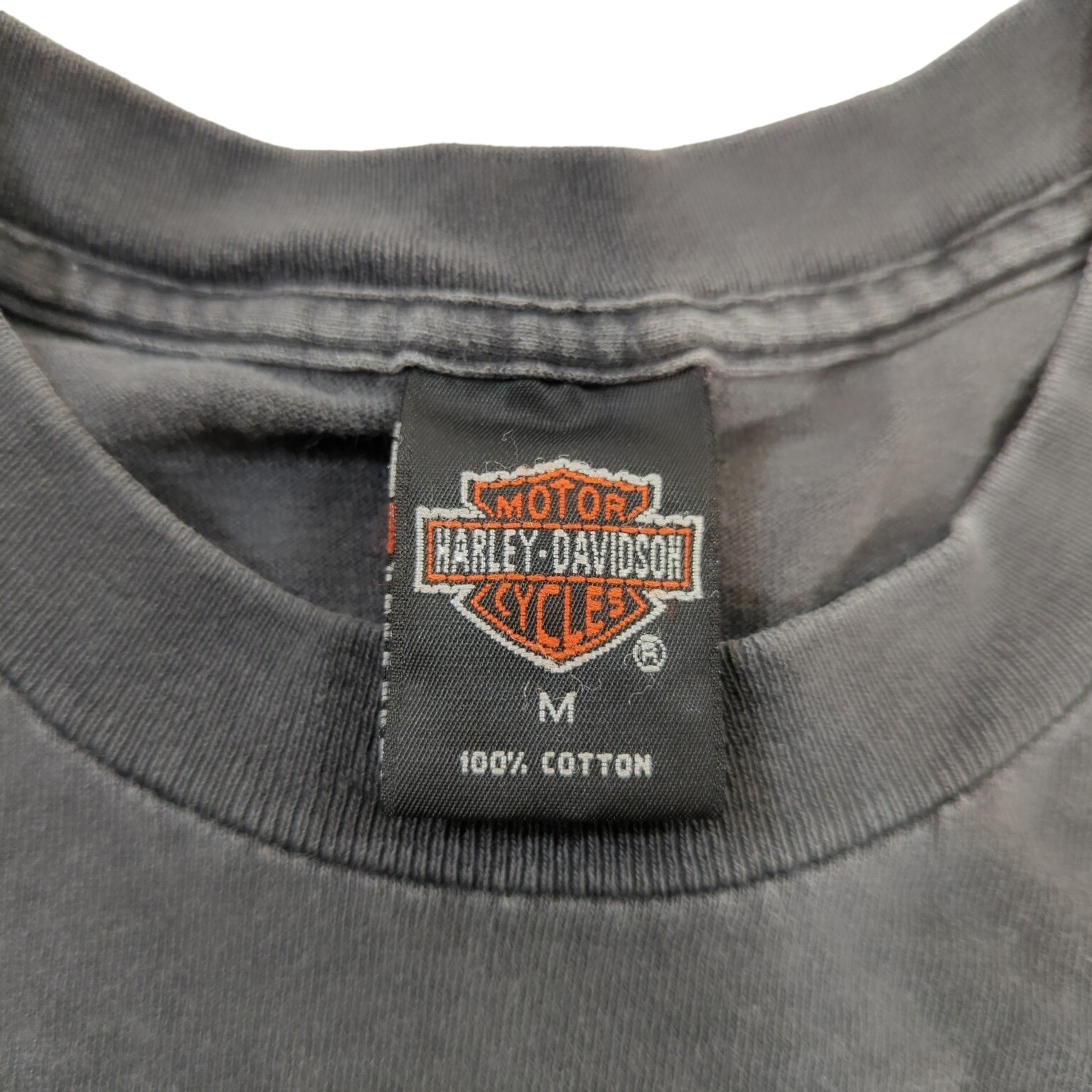 Harley Davidson VTG Holoubek Bike Week 1995 Daytona B… - Gem