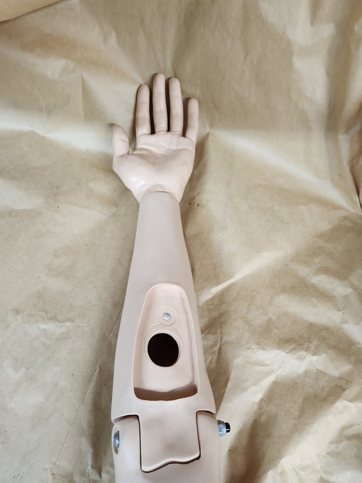 Laerdal Male IV Arm Training BP | eBay