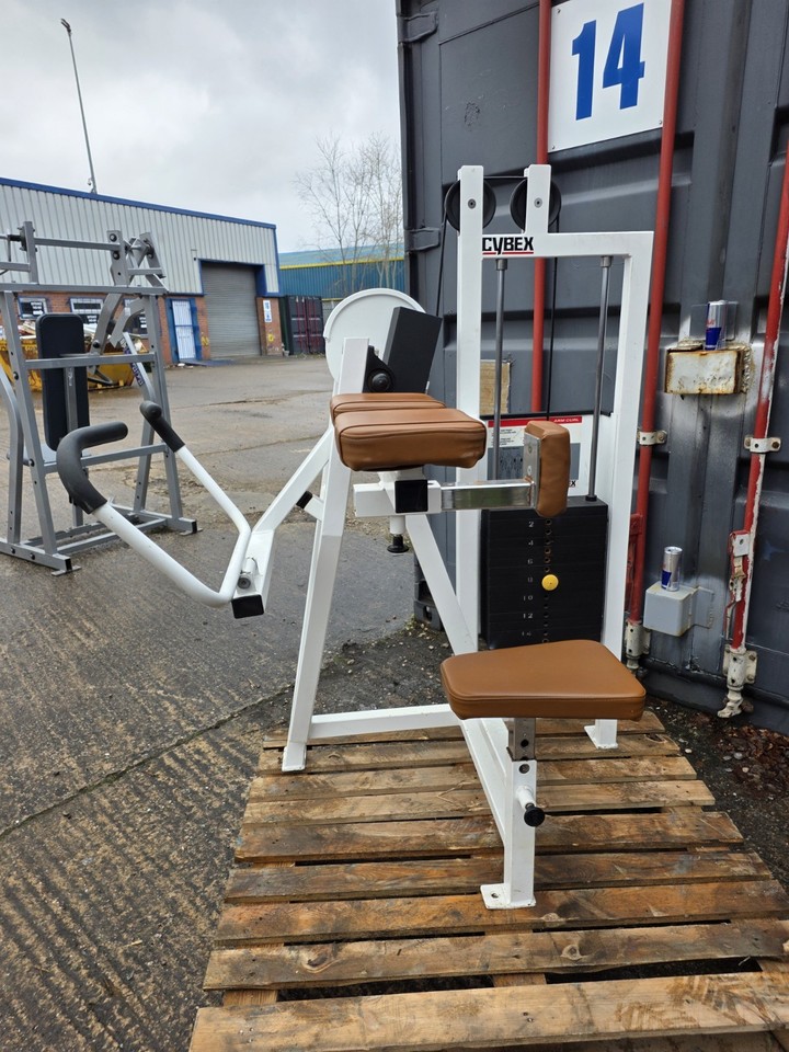 Cybex Bicep Curl Machine Commercial Gym Equipment | eBay UK