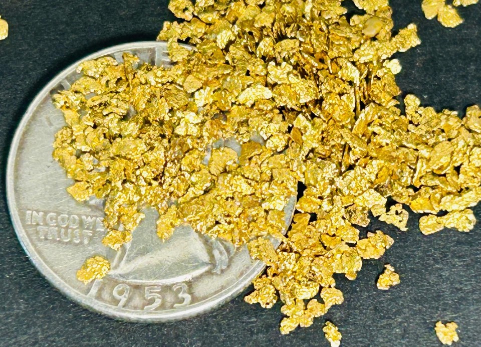GOLD NUGGETS 5+ GRAMS Alaska Natural Placer Bottom Dollar Creek #16-#18 ...