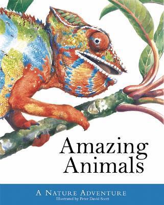 Amazing Animals : A Nature Adventure (2015, Hardcover) for sale online ...