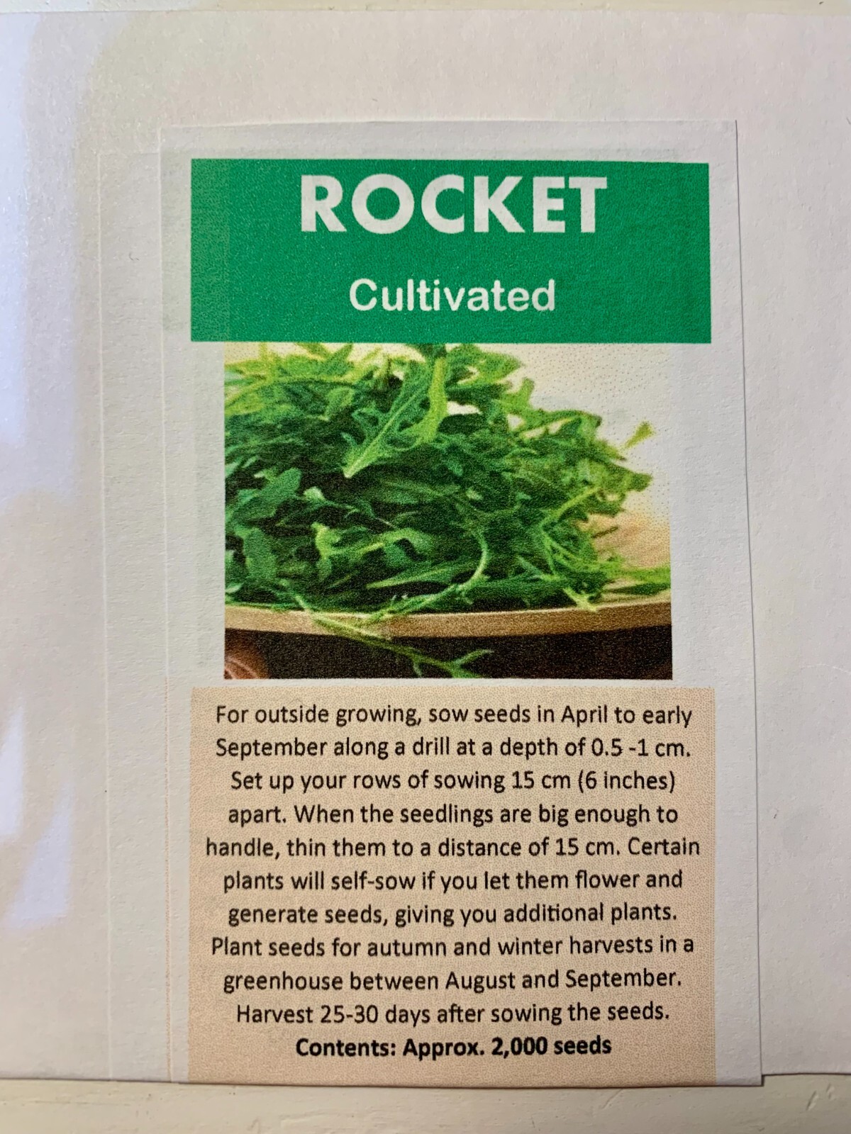 ROCKET - Arugula Salad - Leaves - Herb - Kitchen Garden (2000 seeds ...