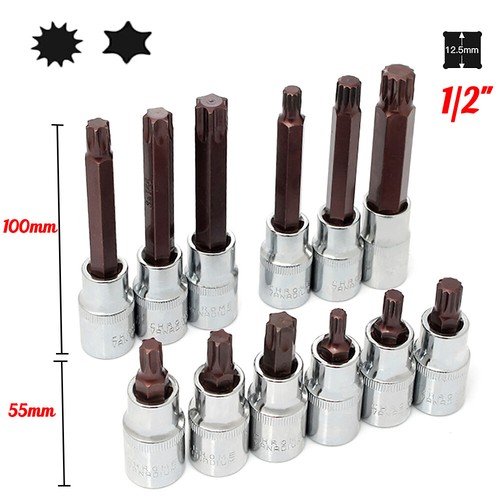 Torx Bits 1/2-Inch Bit Insert Nut Socket Inner Hex T20-T30-T40-T50-T60 ...