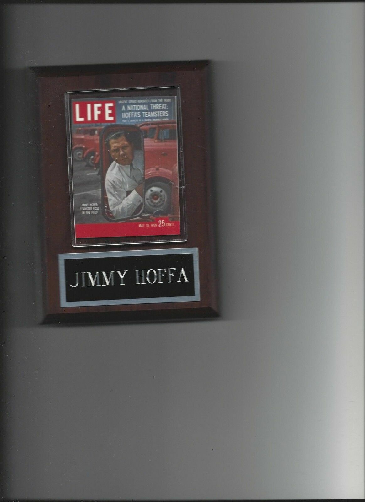 JIMMY HOFFA PLAQUE TEAMSTER LEADER UNION LABOR PICTURE PLAQUE | eBay