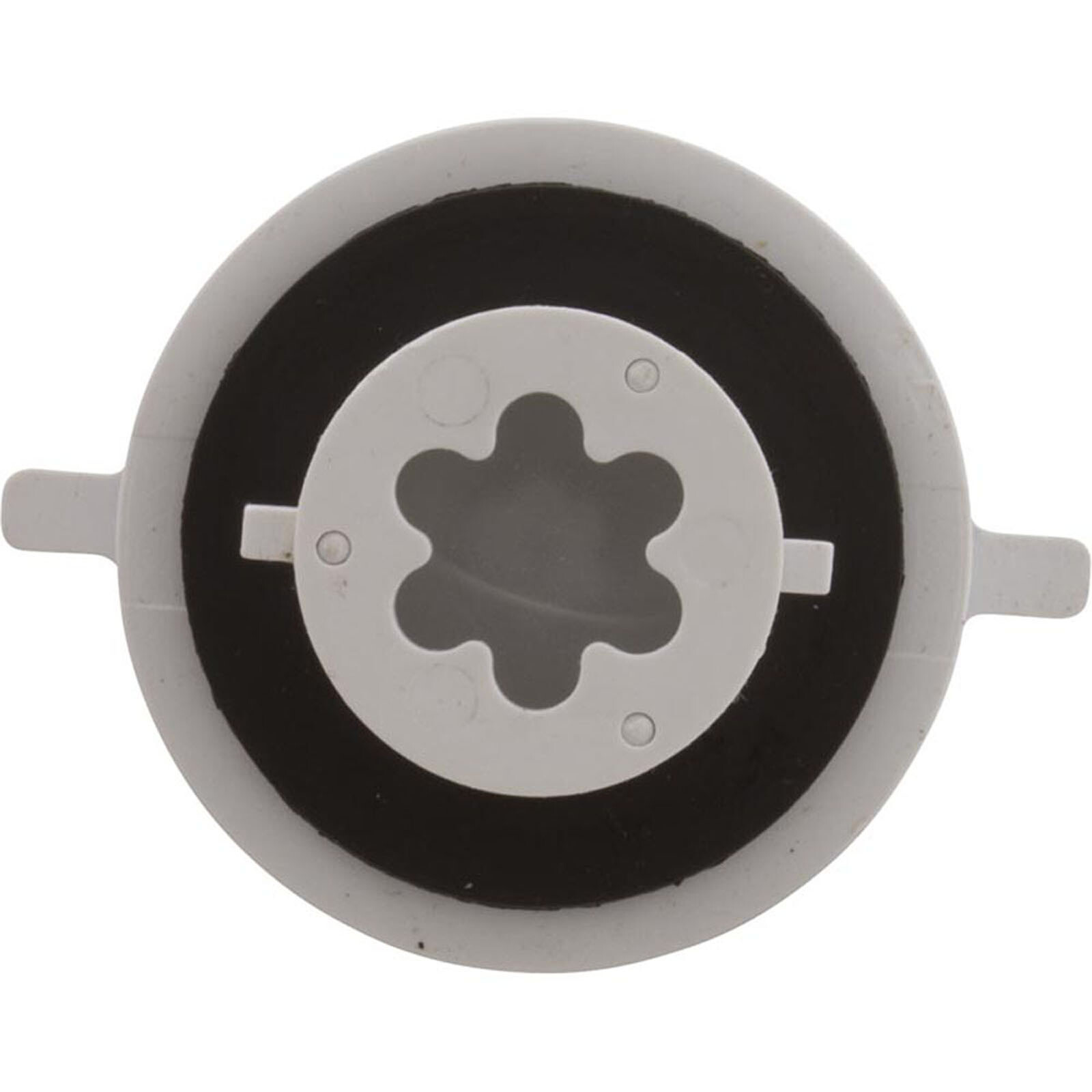 Check Valve Assembly, CMP PowerClean Mini Chlorinator | eBay