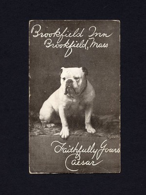 Antique Postcard 1930's Advertising Brookfield Inn, Mass. Bulldog ...