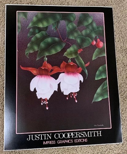Vintage Justin Coopersmith 1982 Poster Impress Graphics 22”x28” | eBay