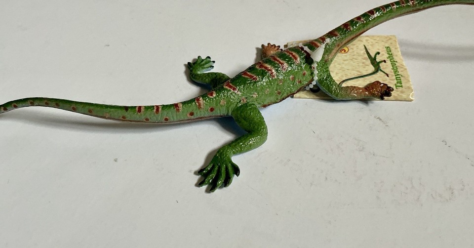 Vtg Safari Carnegie Dinosaur Tanystropheus RareW book Prehistoric ...