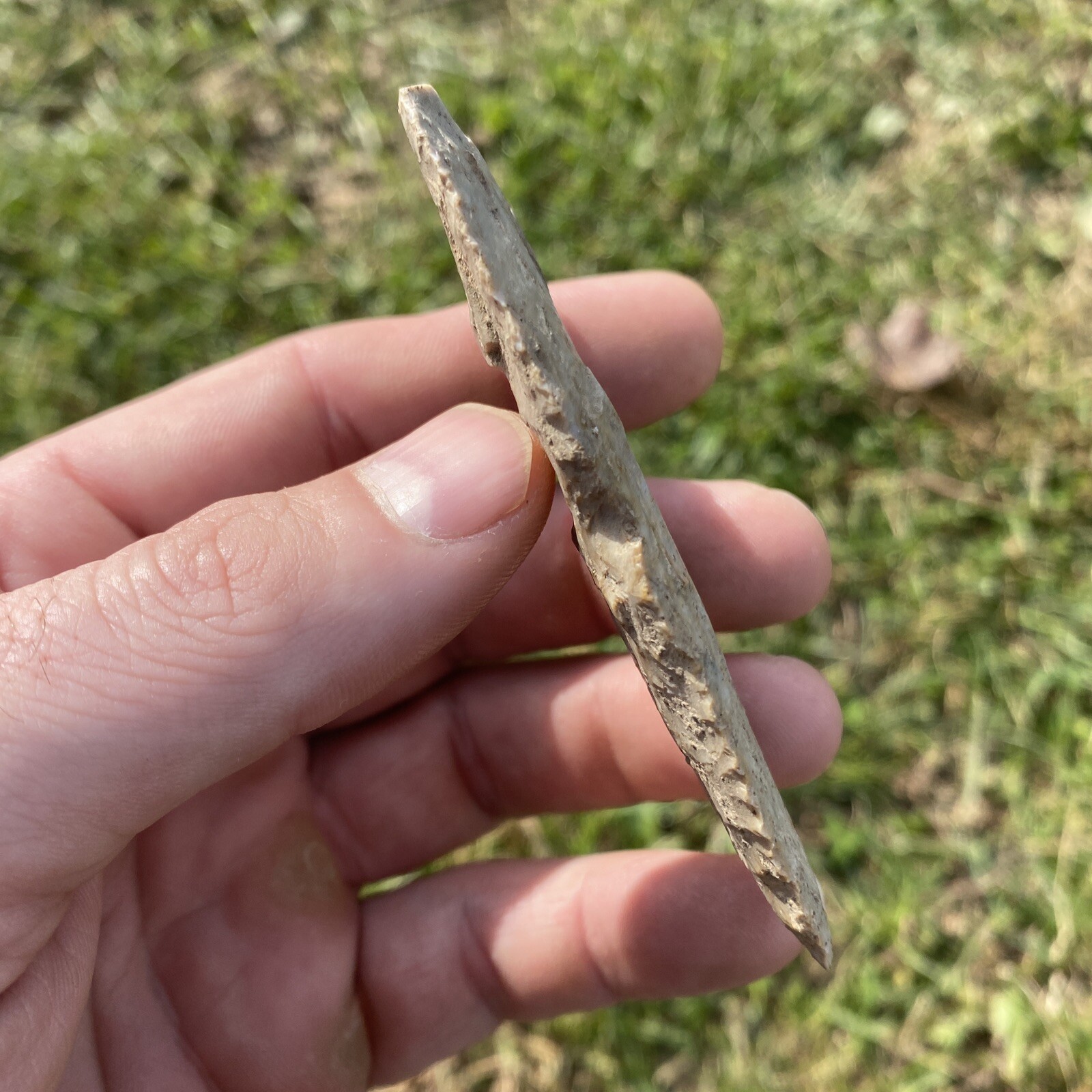 MLC s7136 3 3/8 Paleo To Archaic Lanceolate Arrowhead Summit Co Ohio ...