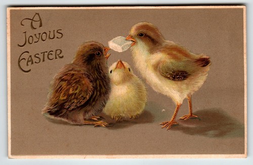 Easter Postcard Baby Chicks Eating Sugar Cube Embossed 1911 Germany ...