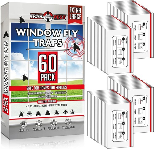 Window Fly Traps Indoor Clear (60 Pack) - for 60 Pack, Black | eBay