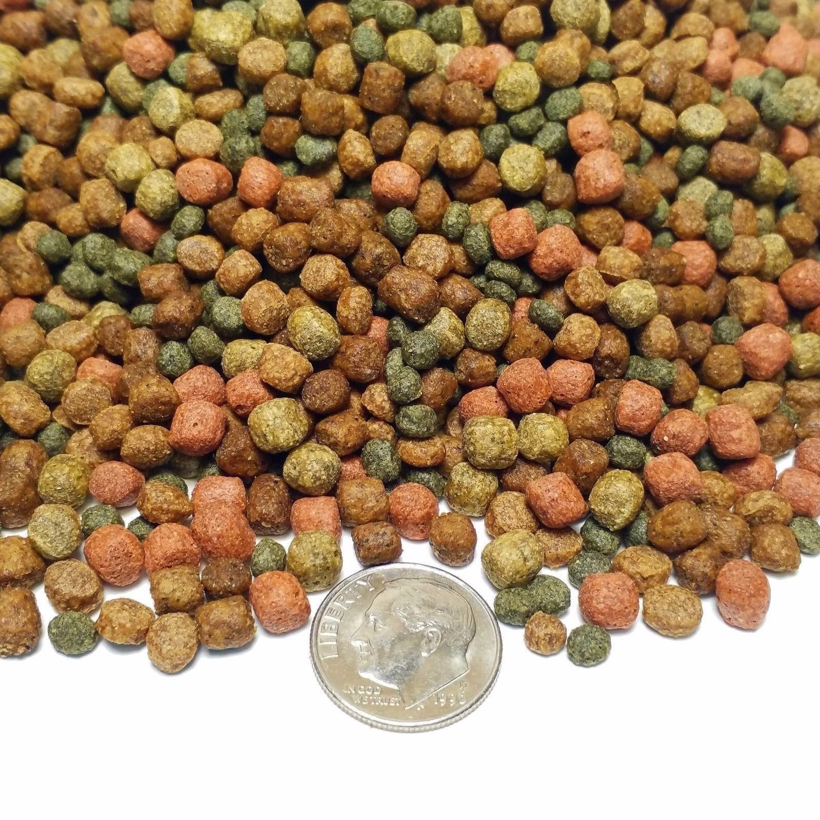 Large Fish Floating Pellet Blend for Oscars, Pacus, Arowanas, Ponds GB ...