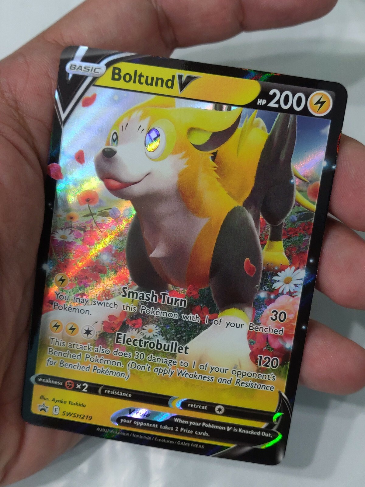 Boltund V SWSH219 - Pokémon TCG Full Art Promo Card - Near Mint | eBay