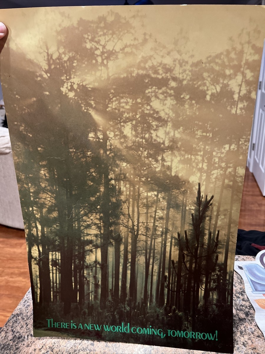 American Graffiti Joe Quotes The Best American Graffiti Quotes (1973)