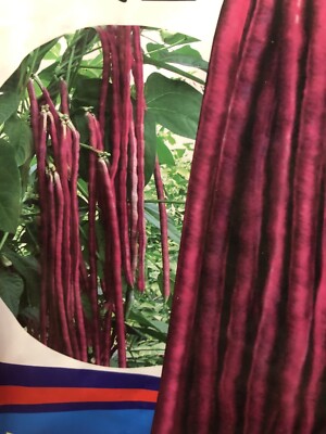 Long （杠豆）15+Seeds Red Snake Bean | eBay