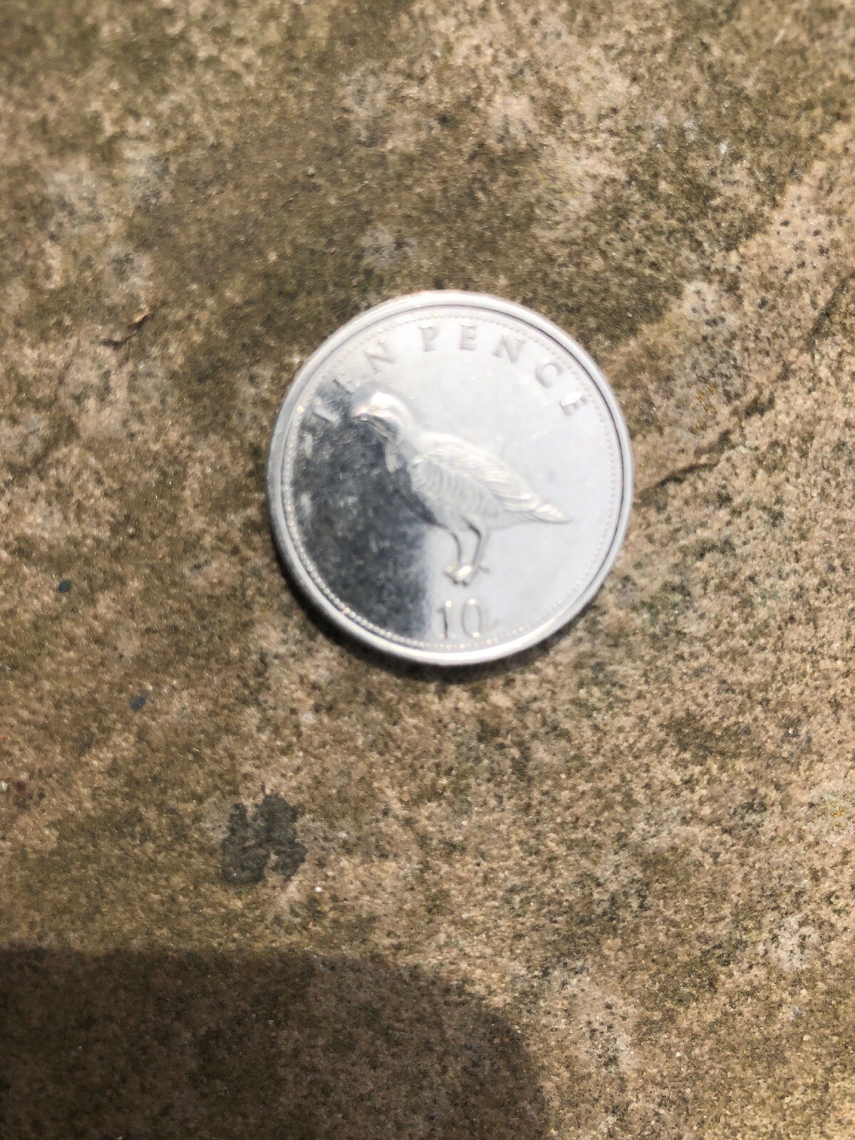 10p Rare Bird Coin National Partridge 2014 Gibraltar | eBay UK