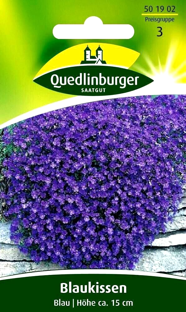 Blaukissen Blau - Steingarten-Polsterstaude - Blumen Samen Saatgut ...