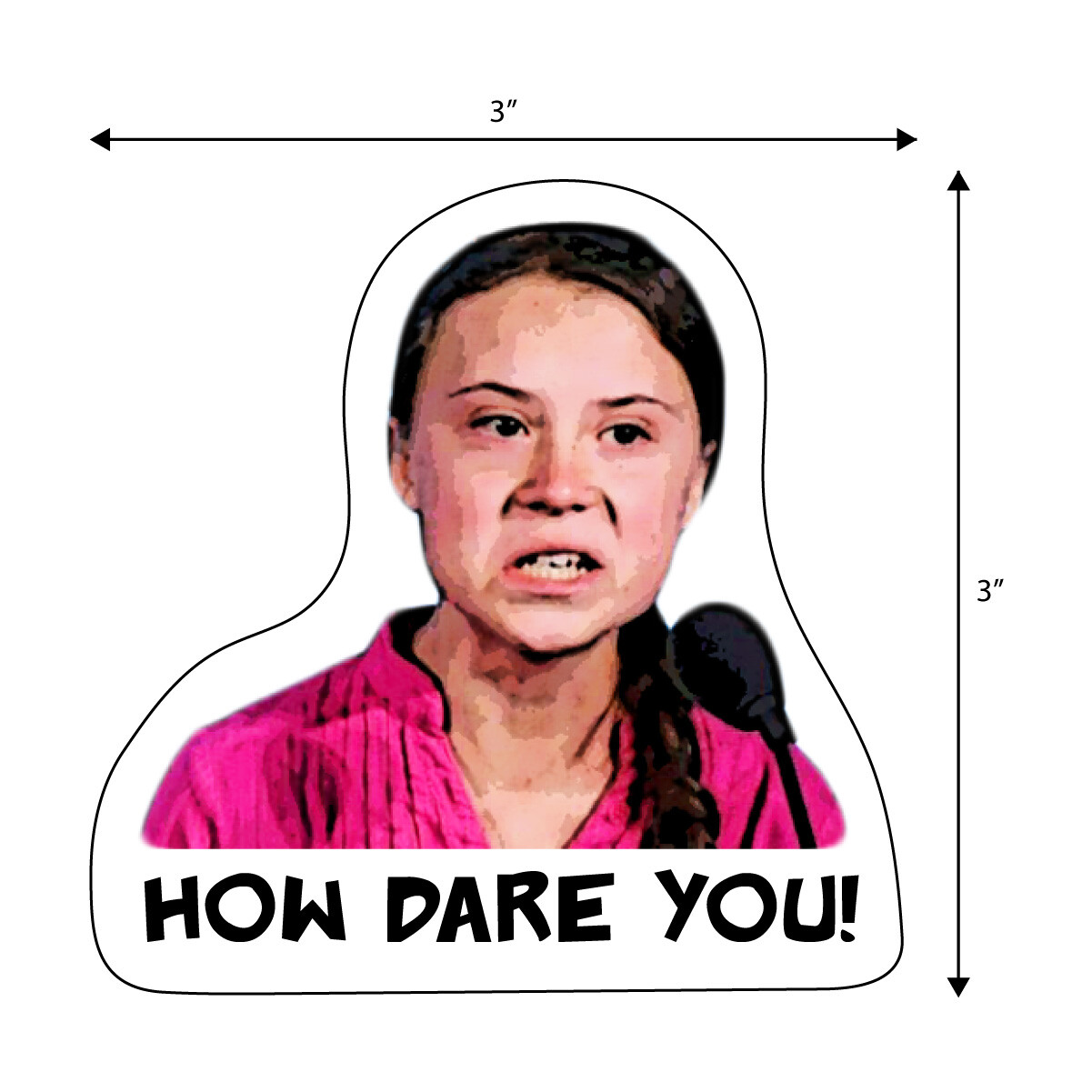10 pack - 3" x 3" Greta HOW DARE YOU! - Sticker / Decal - Humor / Funny ...