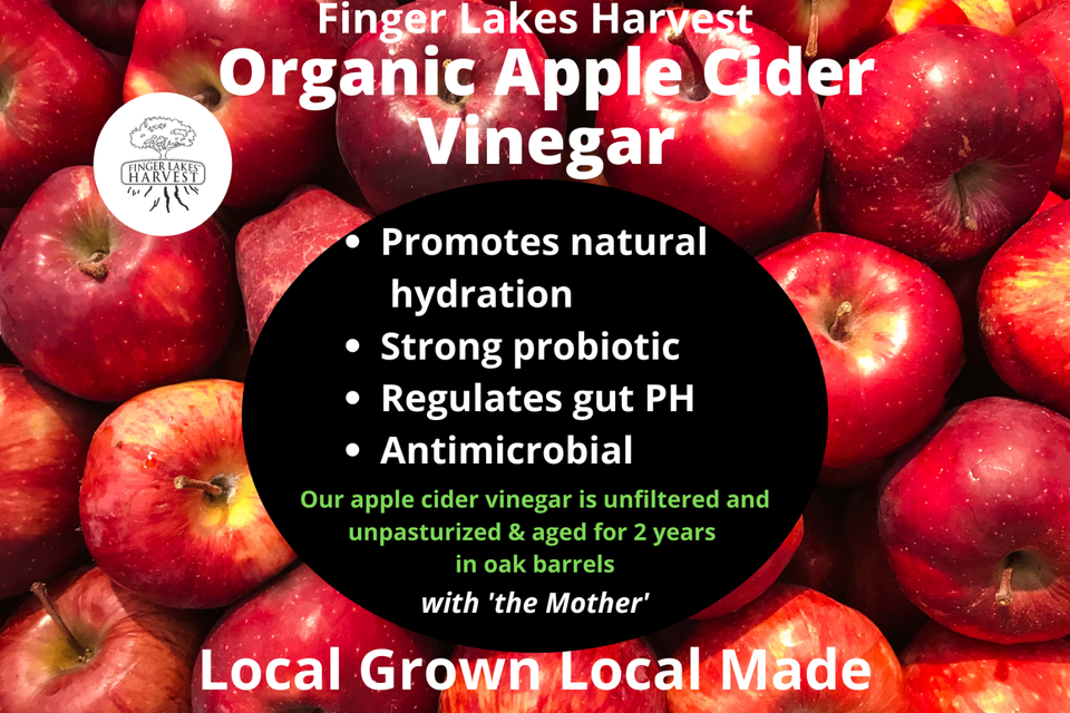 Garlic Bitters (4oz): Antibacterial, Digestive Health, Apple Cider ...