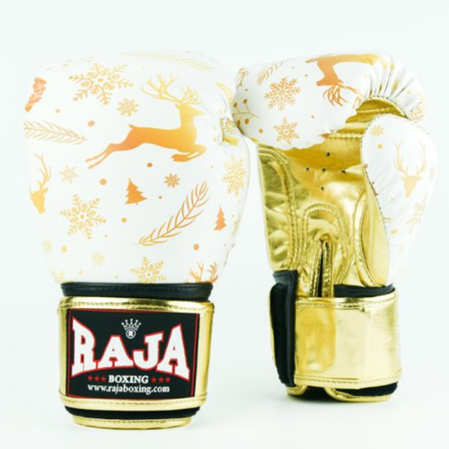 RAJA Boxing Micro Fiber Gloves Muay Thai Men Women Training Fight MMA ...
