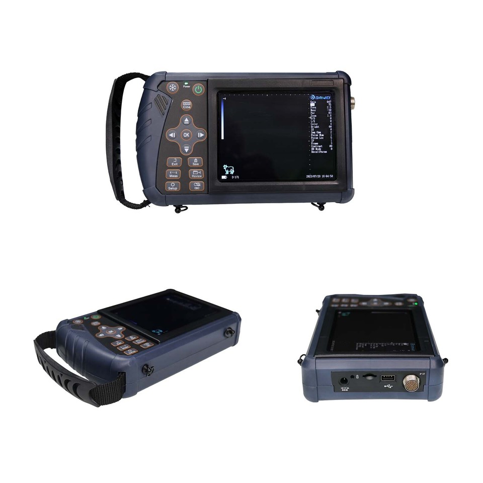 DAWEI Handheld Veterinary Ultrasound Machine Rectal Probe for Horse ...