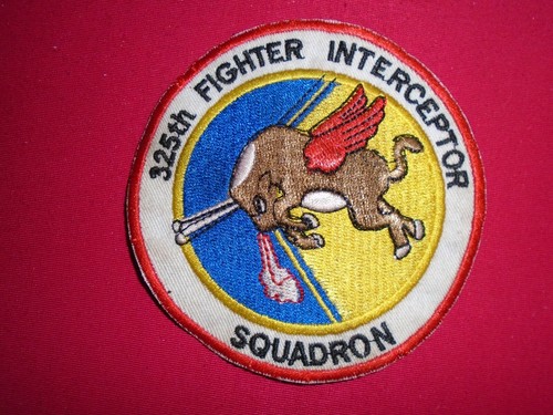 États-unis Air Force 325th Fighter Interceptor Escadron Patch | eBay