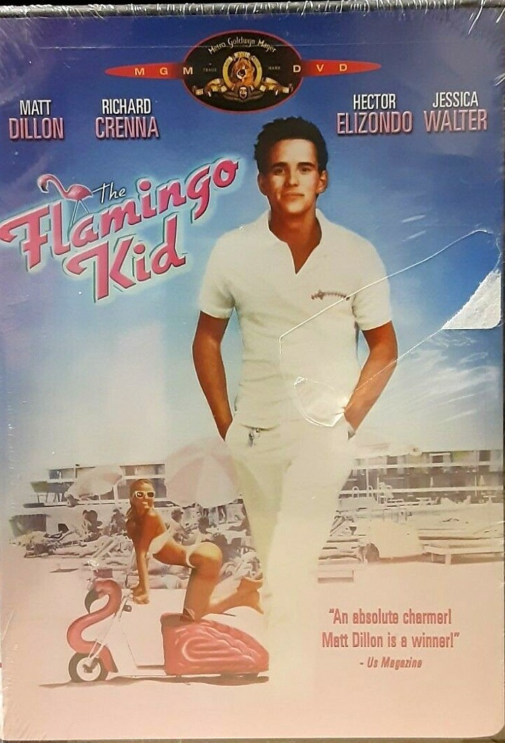 The Flamingo Kid With Matt Dillon and Jessica Walter DVD for sale ...