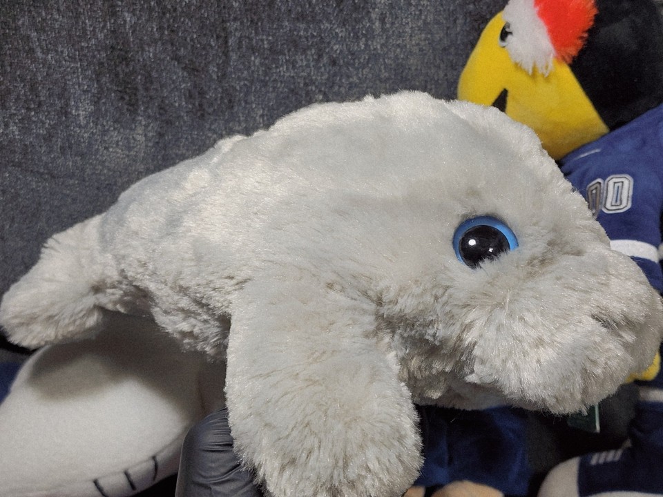 Tampa bay lightning plush stuffed toy animals lot thunderbug manatee ...