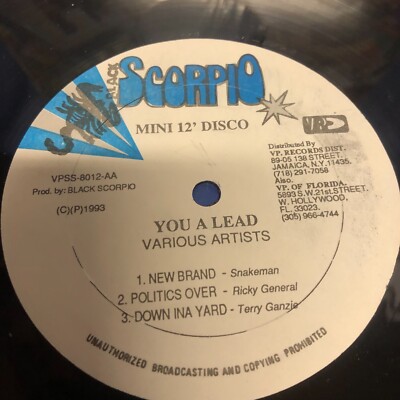 You A Lead 12" REGGAE VINYL RECORD LP Mega Banton/Ricky General ...