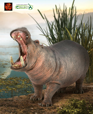 Hippopotamus Hippo Animal Wildlife Toy Model Figure by CollectA 88833 ...